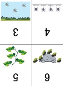 算数・数学 – ブリッジぷりんと